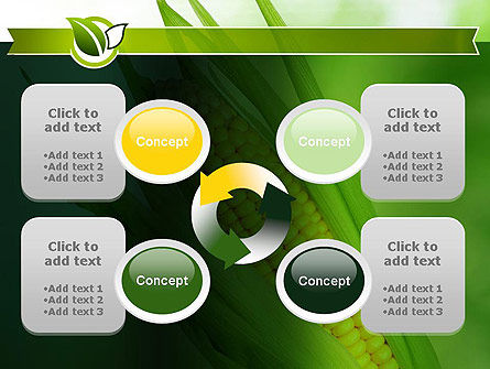Corn On The Cob PowerPoint Template, Backgrounds | 11296 ...
