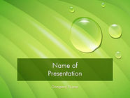 Water Drops on Leaf PowerPoint Template, Backgrounds | 12074 ...