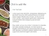 Culinary Spices and Herbs - Free Presentation Template for Google ...