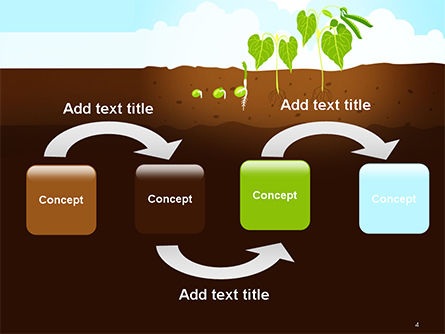 Peas Plant Growth Illustration PowerPoint Template, Backgrounds | 14680 ...