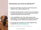 African Elephants - Free Presentation Template for Google Slides and ...