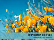 Yellow Petaled Flowers - Free Presentation Template for Google Slides ...