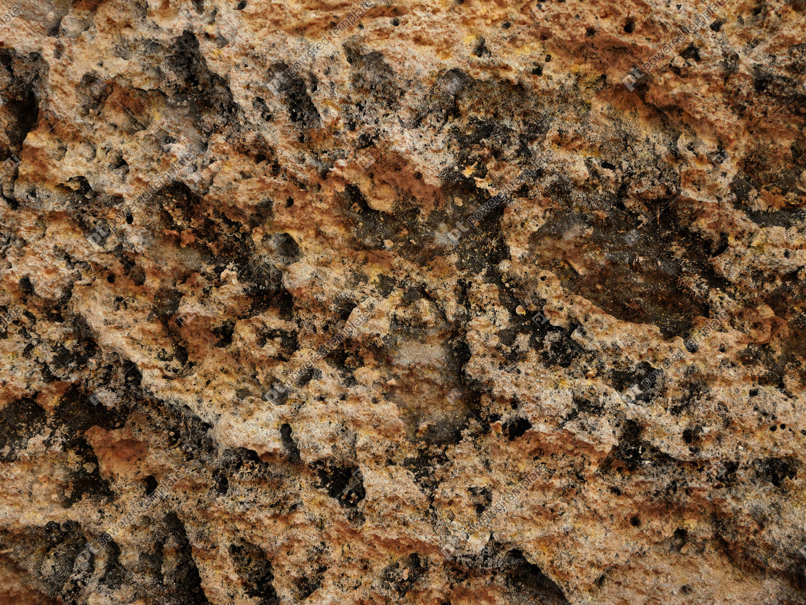 Stone Texture In The Garden正版照片102205