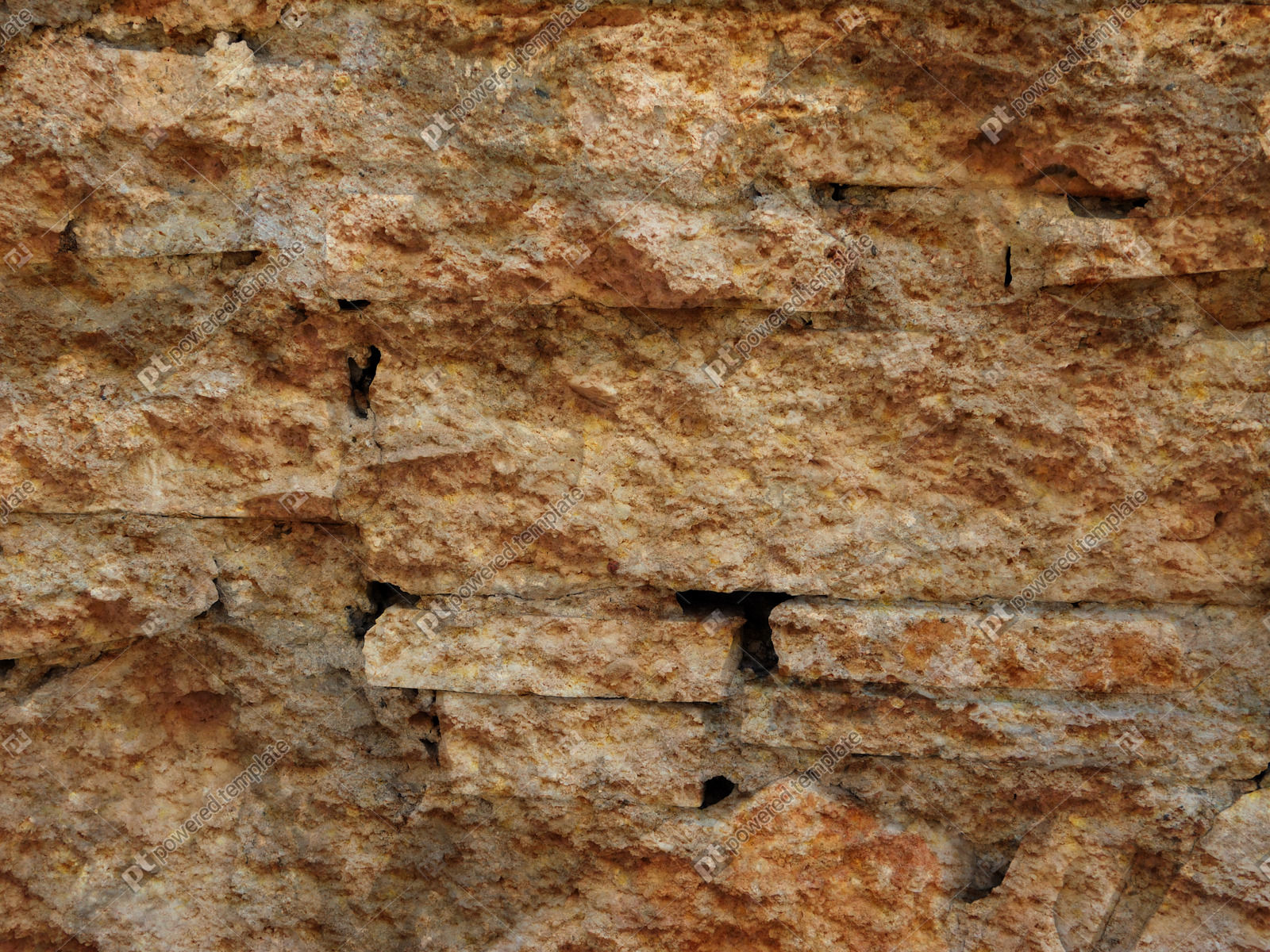 Stone Texture In The Garden Photo 102499