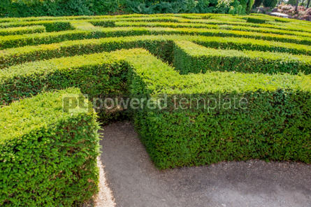 Labyrinth in Botanical Garden Stock Photo 106915