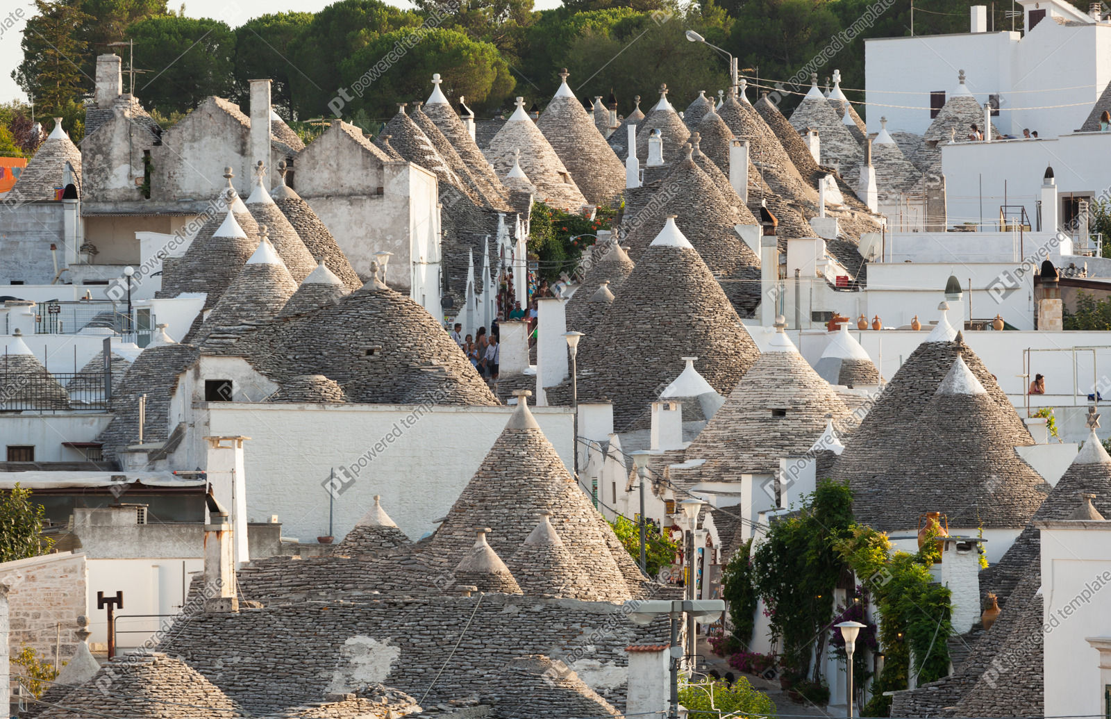 Trulli the Typical Old Houses in Alberobello正版照片110156