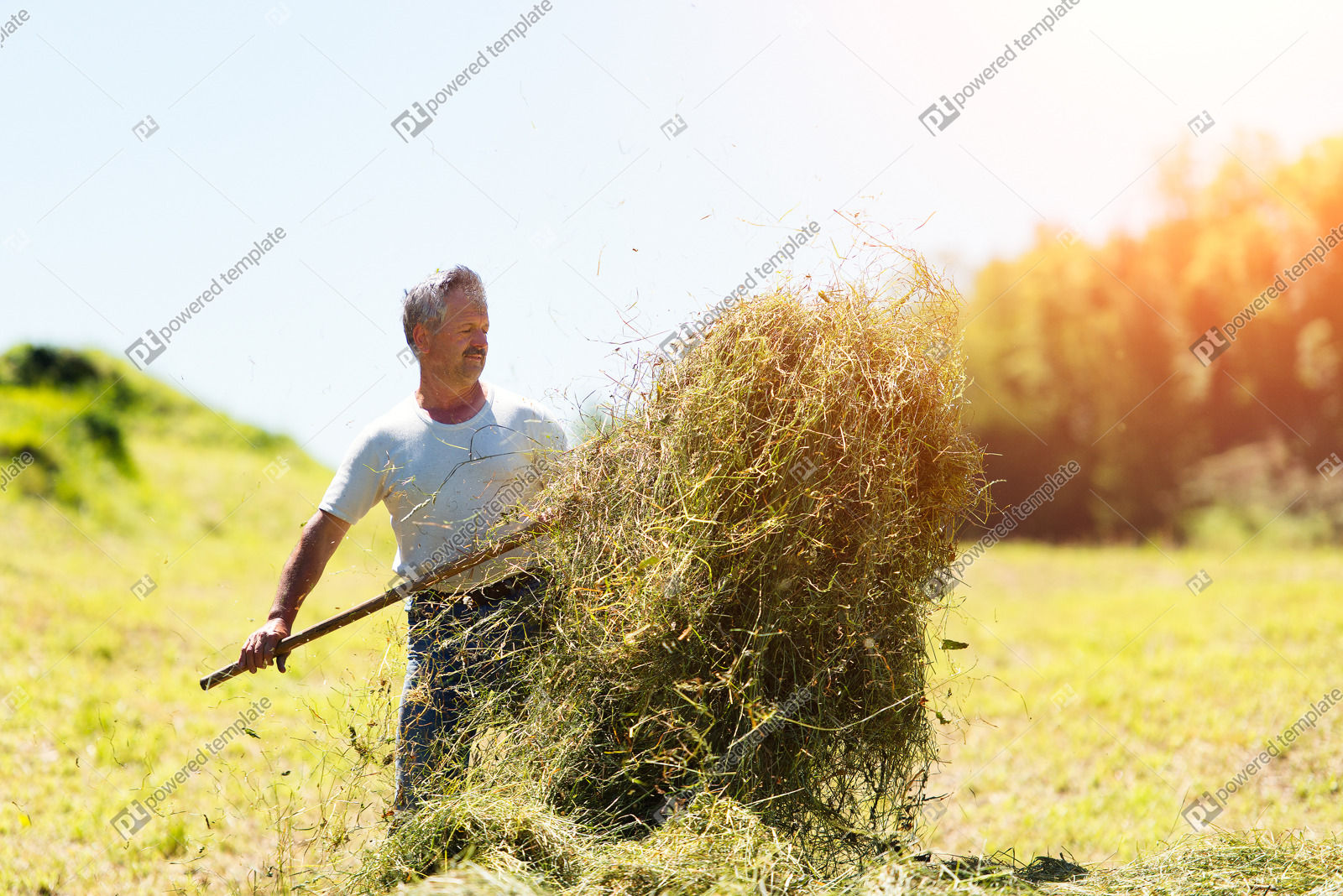 Man Farmer Turns the Hay with a Hay Fork Stock Photo 110918