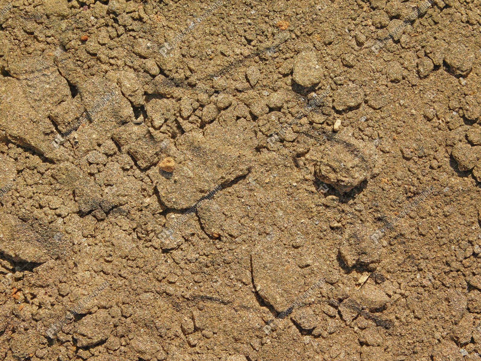 Outdoor Ground Texture正版照片112706