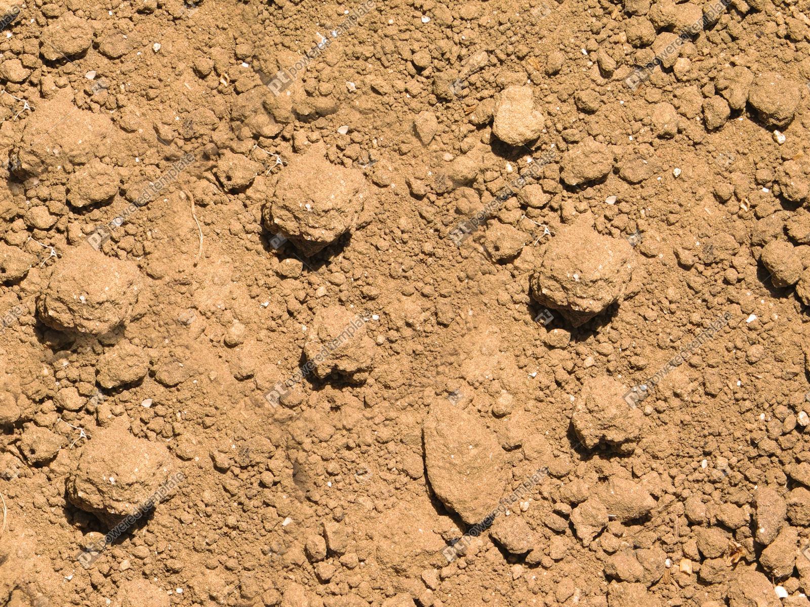 Outdoor Ground Texture Photo 113090