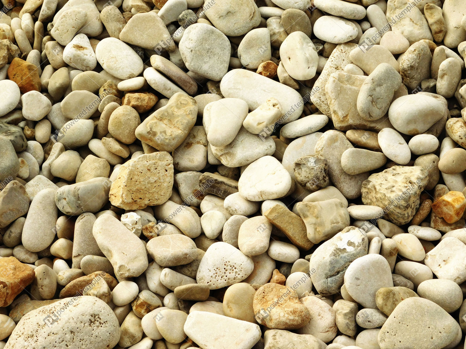 Stone Texture正版照片115441