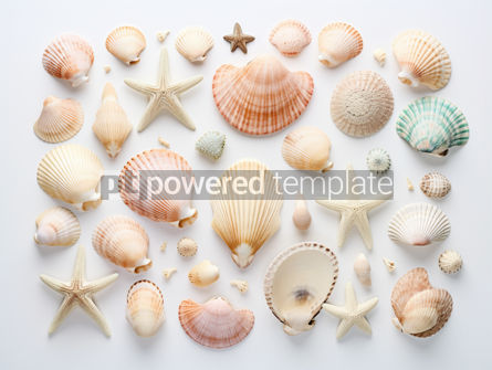 Seashell Collection on White Background | AI Image | PoweredTemplate ...