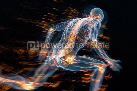 Dynamic X-Ray Visualization of Running with Spinal Joint Pain | Free ...