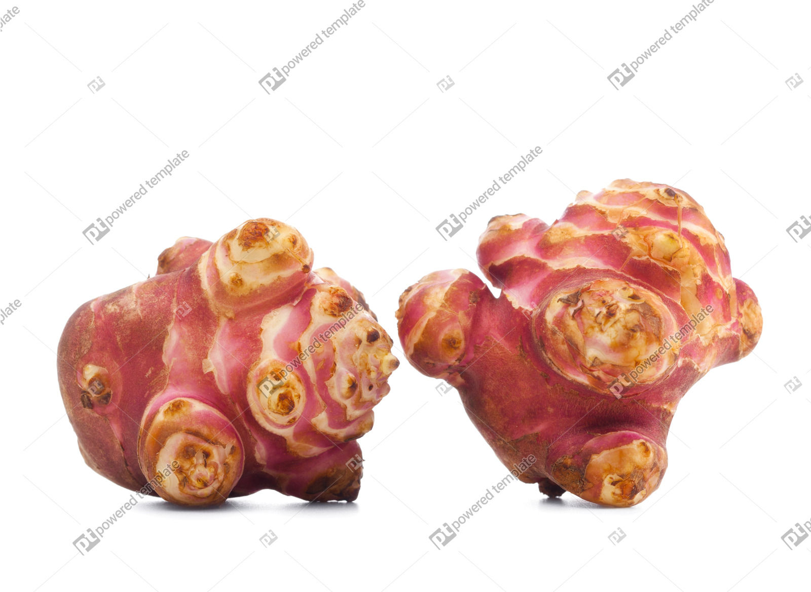 Jerusalem Artichoke Topinambur on White Background Foto 143716