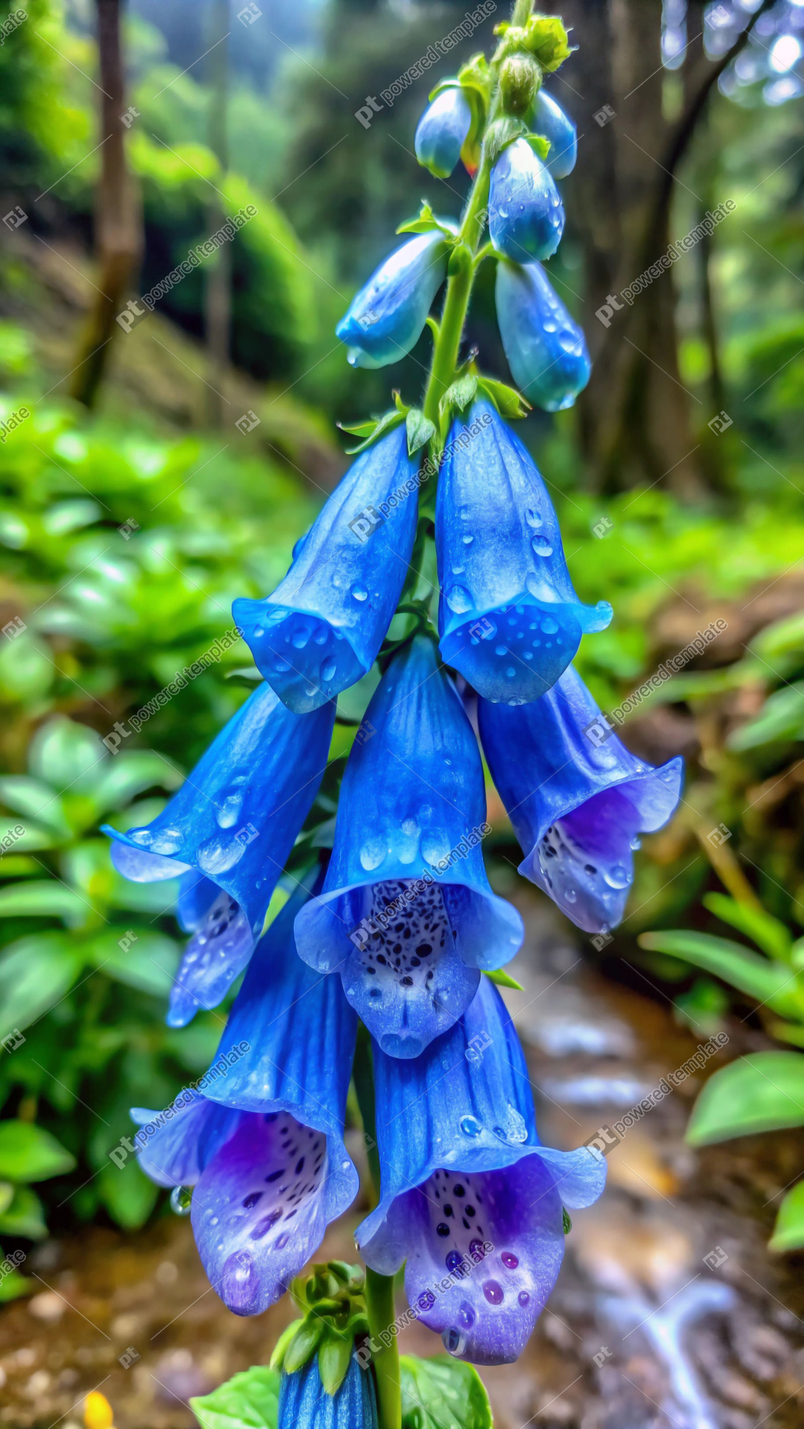 A Snapdragon-like Flower with Vibrant Blue Petals and a Mouth-like ...